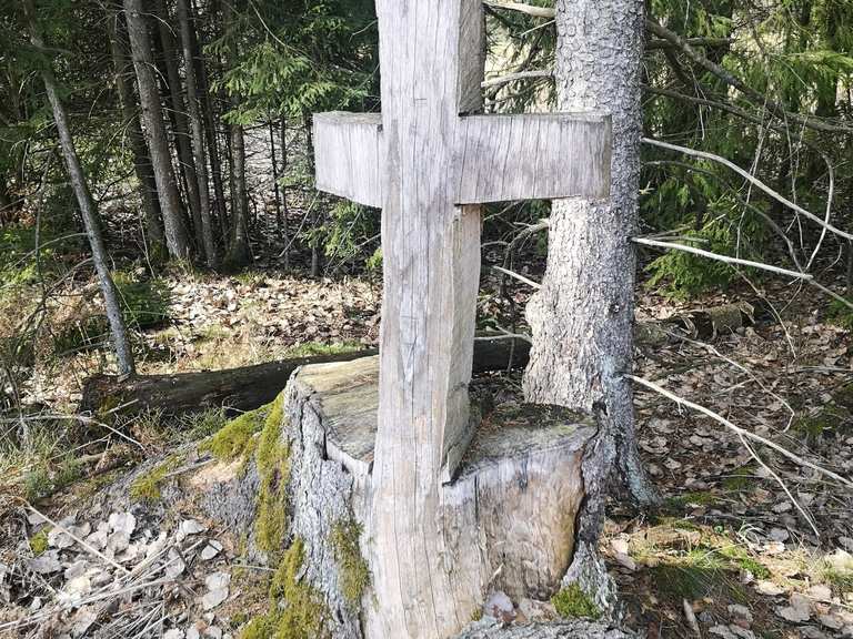Wooden Cross in Tree Stump – Hikes & How to Get There | Komoot
