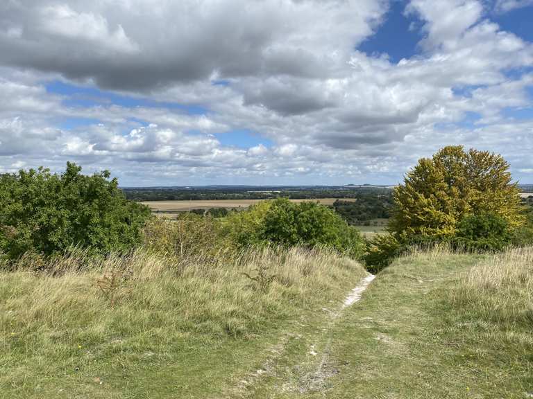 The Chalk Pit loop — North Wessex Downs | hike | Komoot