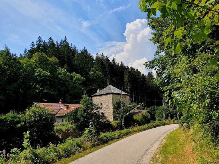 Hallthurm - Mountain Bike Trails & Tracks | Komoot