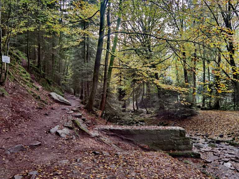Alte Furt: Wanderungen und Rundwege | komoot