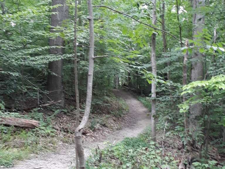 Salt Run Trail: Wanderungen und Rundwege | komoot