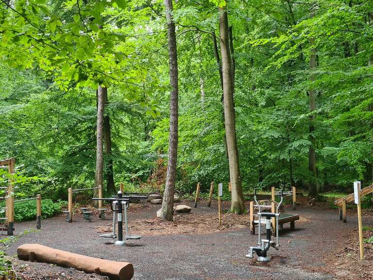 Lahnstein Kur- und Heilwald: Fitness-Parcours: Wanderungen und Rundwege ...