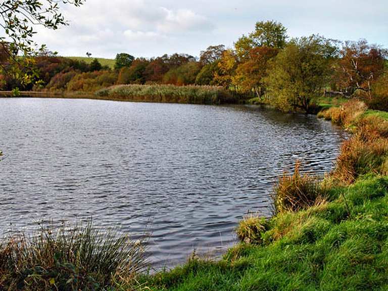 Anello di Nipstone Rock, Linley Hill & The Bog - Shropshire Hills ...