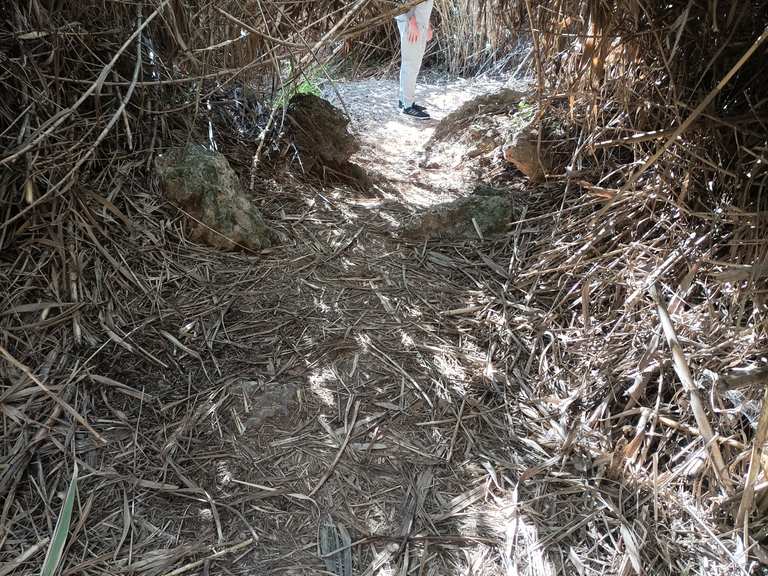 Playa Cala Barranco de Maro wandelroutes en hikes | Komoot