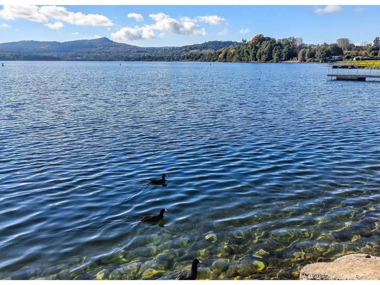 Lake Viverone loop trail with stilt houses | trilha | komoot