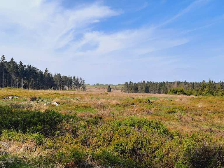 Fagne wallonne - Itinéraires vélo et carte | Komoot