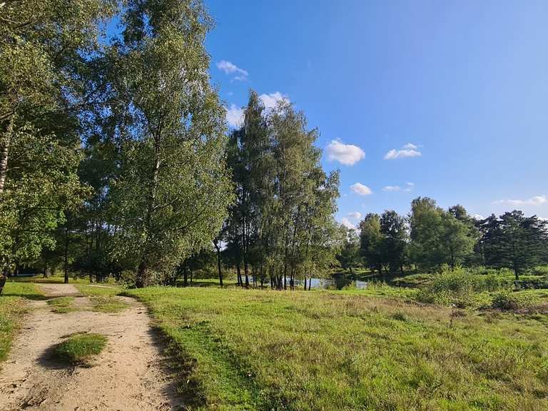 Boswachterij Dorst wandelroutes en hikes | Komoot