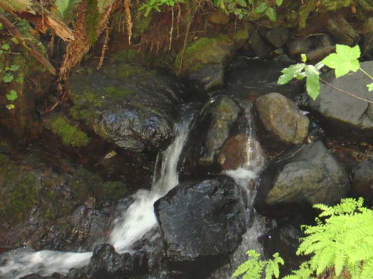 Myrtle Creek : percorsi escursionistici e trekking | Komoot