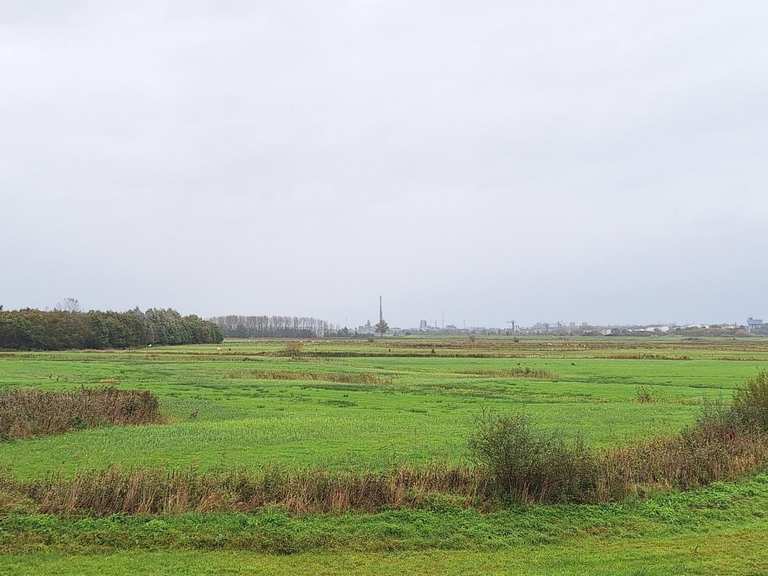 Scheldedijk Rupelmonde wandelroutes en hikes | Komoot