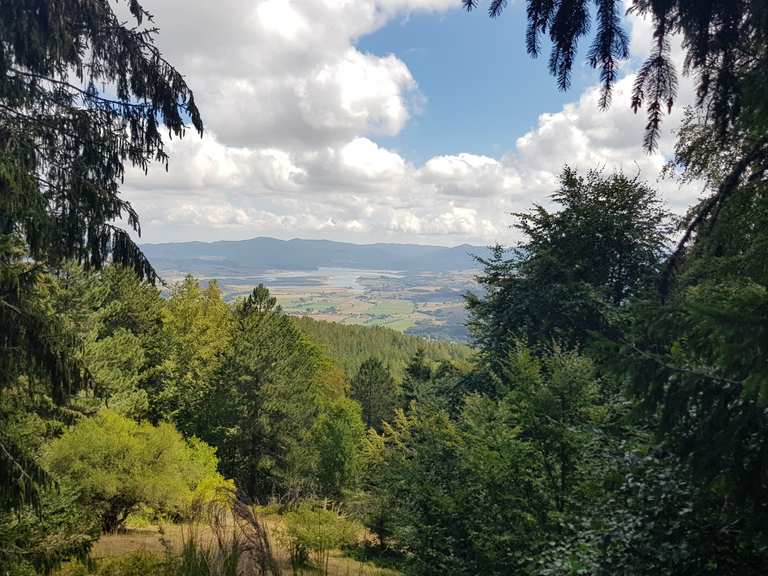 Randonnée de Cosenza au Lac de Cecita le long de la véloroute des Parcs ...