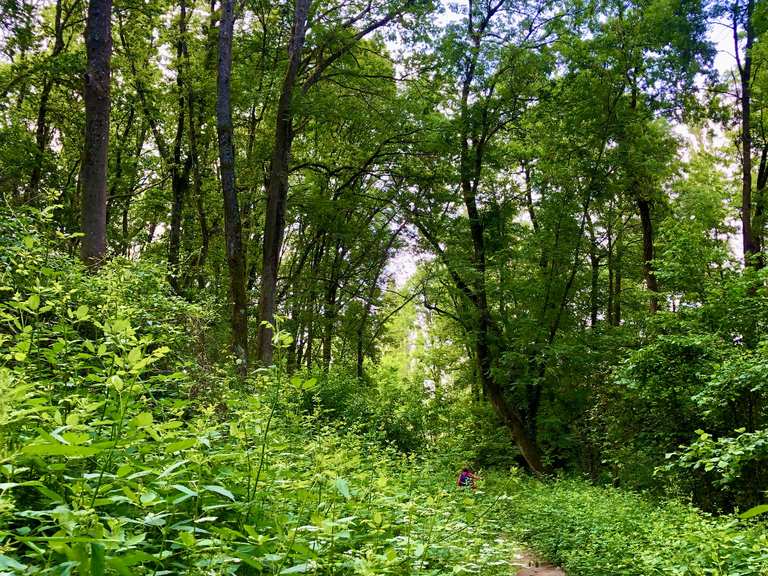 Étang du Boulard - Itinéraires de rando et marche | Komoot