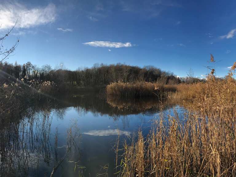 Torbiera di Mombello: Wanderungen und Rundwege | komoot