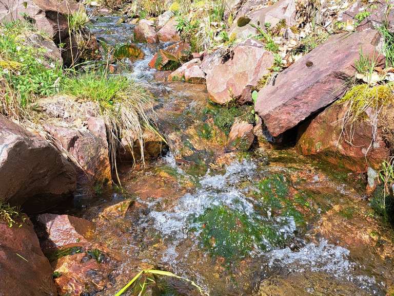 Steinborn Quelle wandelroutes en hikes | Komoot