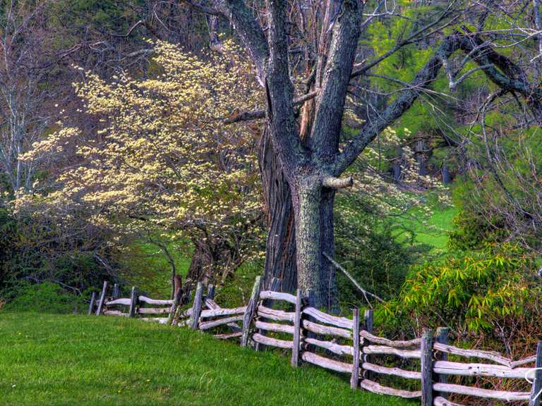 Boone's Trace Overlook to Carroll Gap Overlook — Blue Ridge Parkway ...