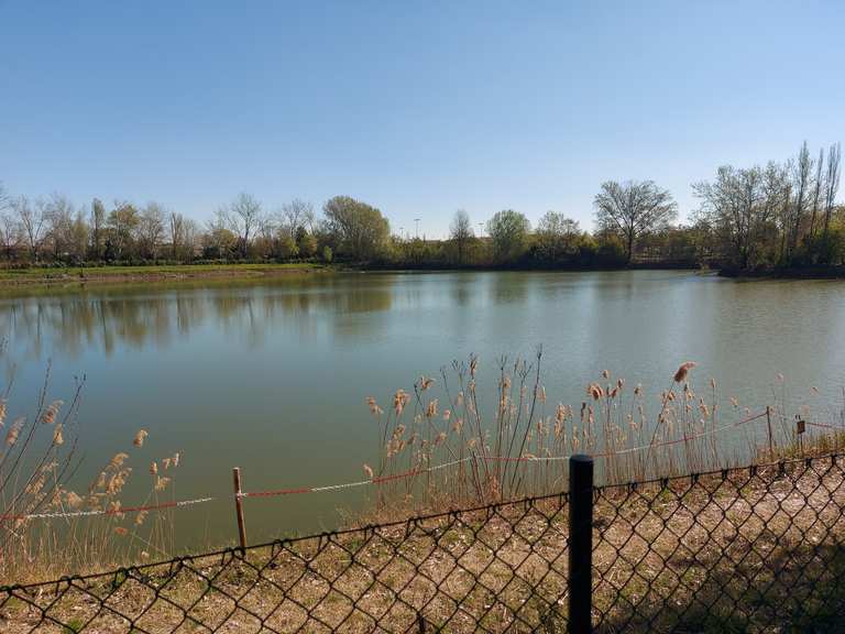 Along the Senio river – loop tour | run | Komoot