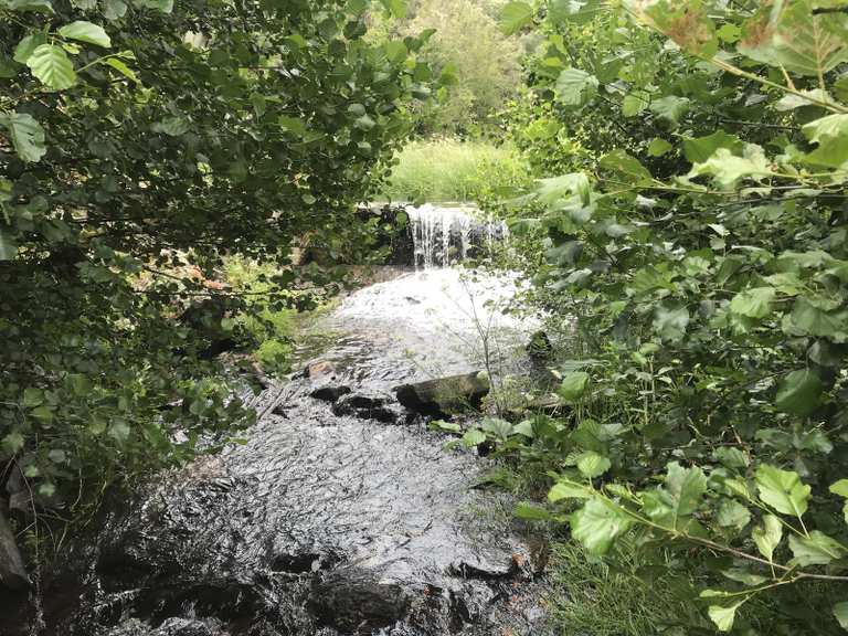 Rota dos Lobos — volta de Trabazos de Aliste | caminhada | Komoot