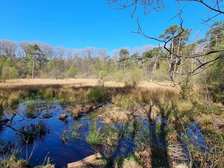 Het Drents-Friese Wold in vanuit Appelscha – Nationaal Park Drents ...