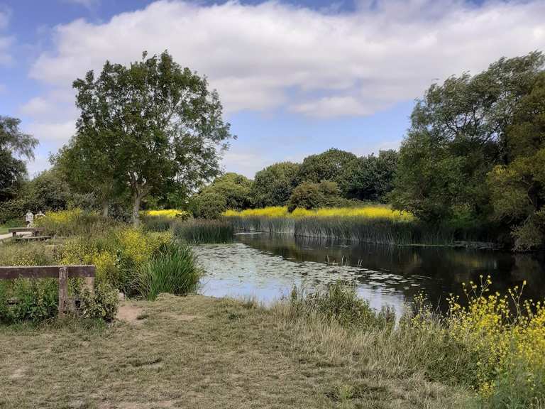 The River Stour & Dudsbury Camp loop from Throop — Stour Valley Nature ...