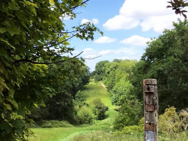 Wittenham Clumps via Thames Path loop — North Wessex Downs AONB | hike ...