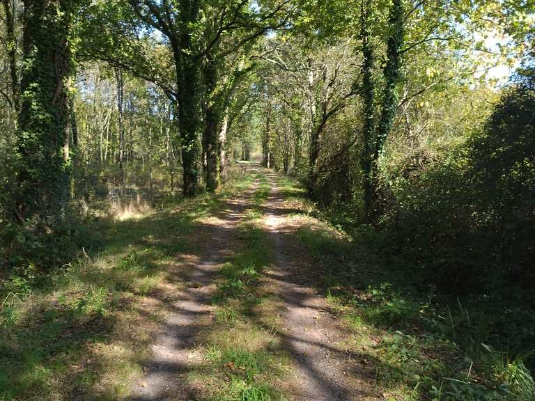 Chemin de la Vesquerie - Cycle Routes and Map | Komoot