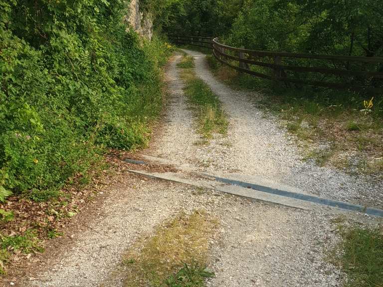 Strada gravel del lago di Ravedis e del torrente Cellina: Radtouren und ...