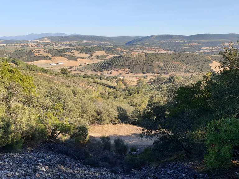 Ascent to Cima Umbría via the Sierra de Castellar de los Bueyes Trail ...