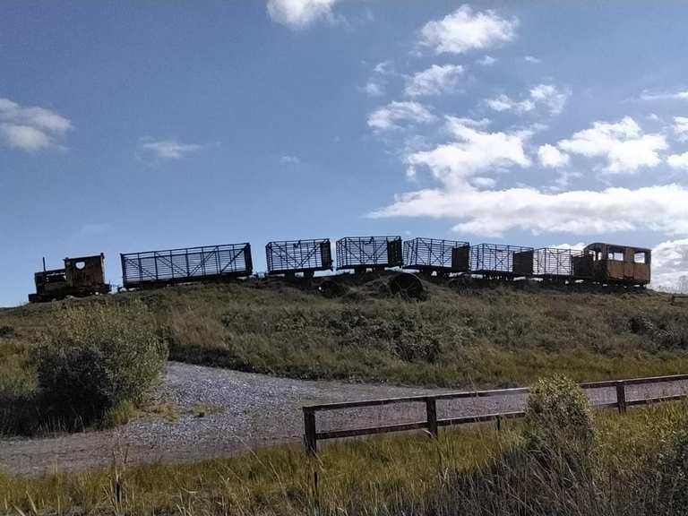 Lough Boora Discovery Park & Tarraun Wetlands loop from Boora — County ...