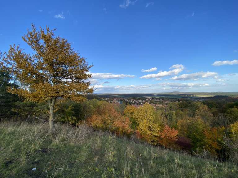 Ausblick vom Ziegenbergkamm Routes for Walking and Hiking | Komoot
