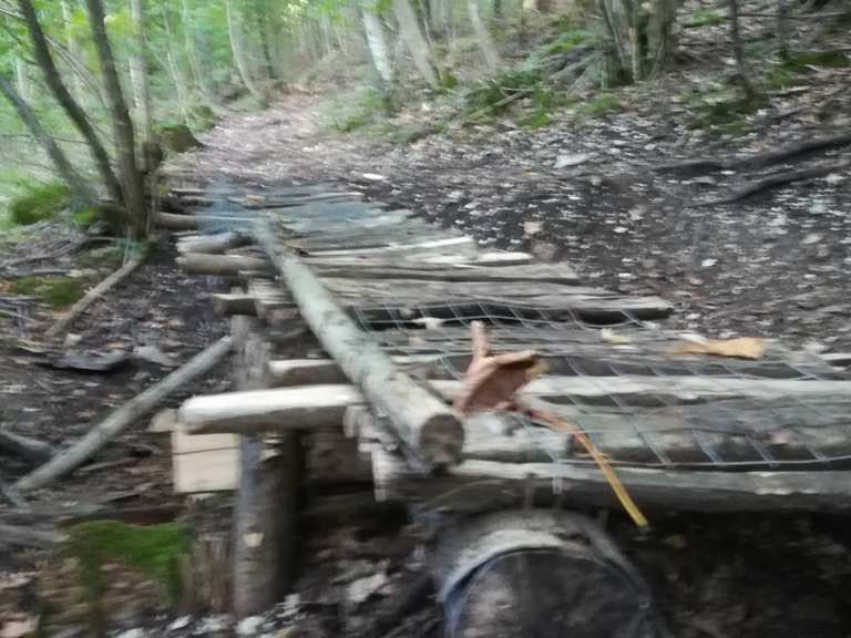 Schoaf Schdall Drail - Sentiers et pistes de VTT | Komoot