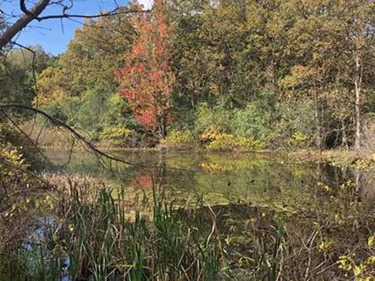 Scarlett Mitchell Nature Area: Wanderungen und Rundwege | komoot