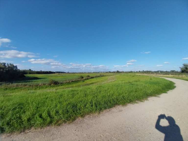 Scheldedijk Rupelmonde wandelroutes en hikes | Komoot