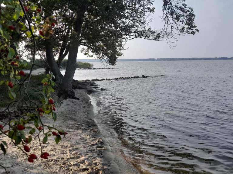 Famous Outhouse on Usedom Island – Hikes & How to Get There | Komoot