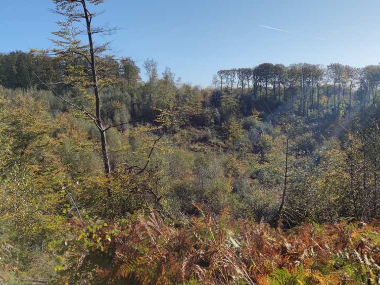 Mont Pagnotte by the Abbaye royale du Moncel — loop from Pont-Sainte ...