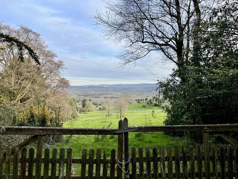 Northchapel and Plaistow loop from Blackdown Hill — South Downs ...