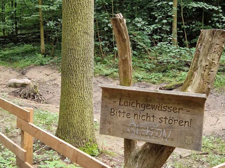 Auf dem Grandberge 42 m ü NHN: Wanderungen und Rundwege | komoot