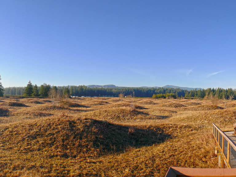 Mima Mounds Natural Area Preserve — Capitol State Forest | hike | Komoot