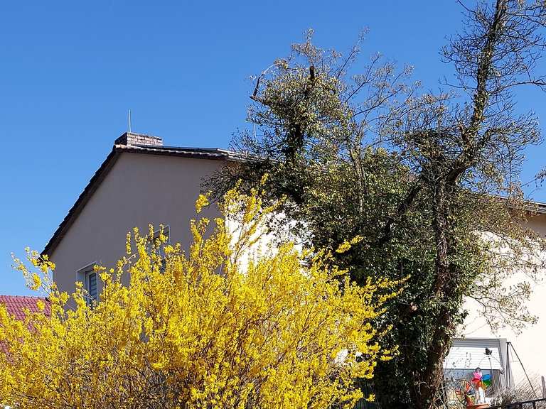 Jacob Stoll Haus: Wanderungen und Rundwege | komoot