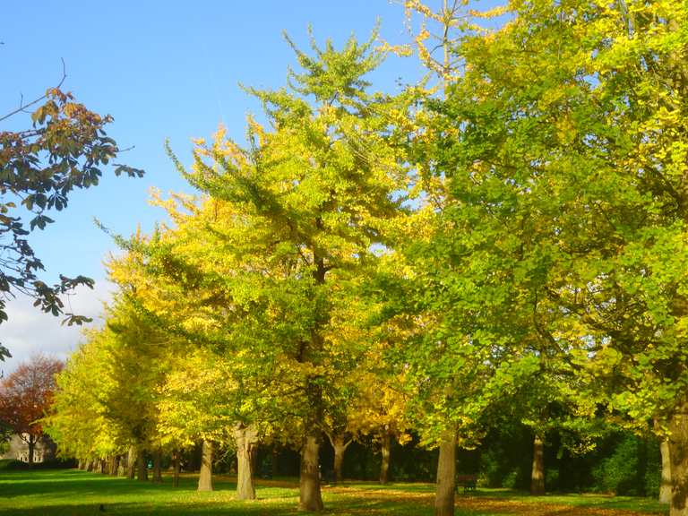 River Taff loop from Cardiff Castle via Bute Park and Sophia Gardens ...