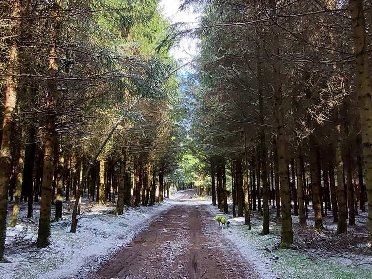 Bois Jacques Routes for Walking and Hiking | Komoot