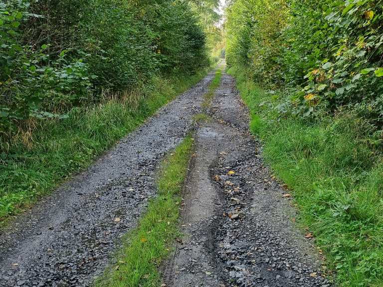 Tongrube Descent – Cycling Routes & How to Get There | Komoot