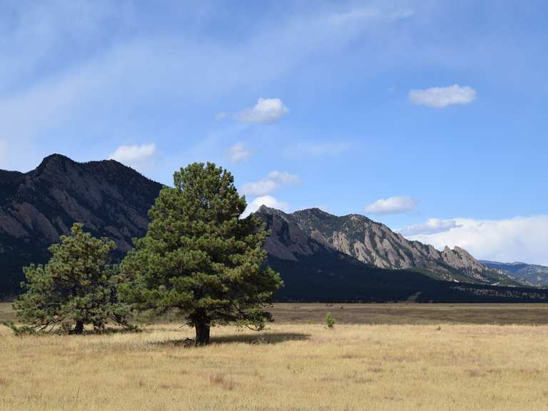Doudy Draw, Spring Brook y Greenbelt Plateau bucle — Boulder Open Space ...