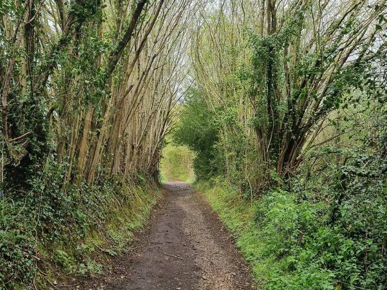 All Saints Rotherfield Peppard and Sedgehill Spring loop from Sonning ...