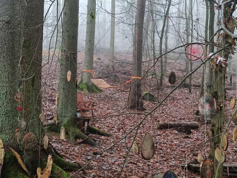 La foresta incantata di Igelsbach : percorsi escursionistici e trekking ...