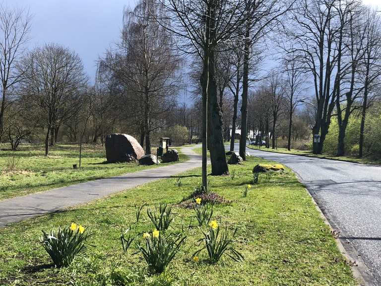 Großer Glinder Findling: Wanderungen und Rundwege | komoot
