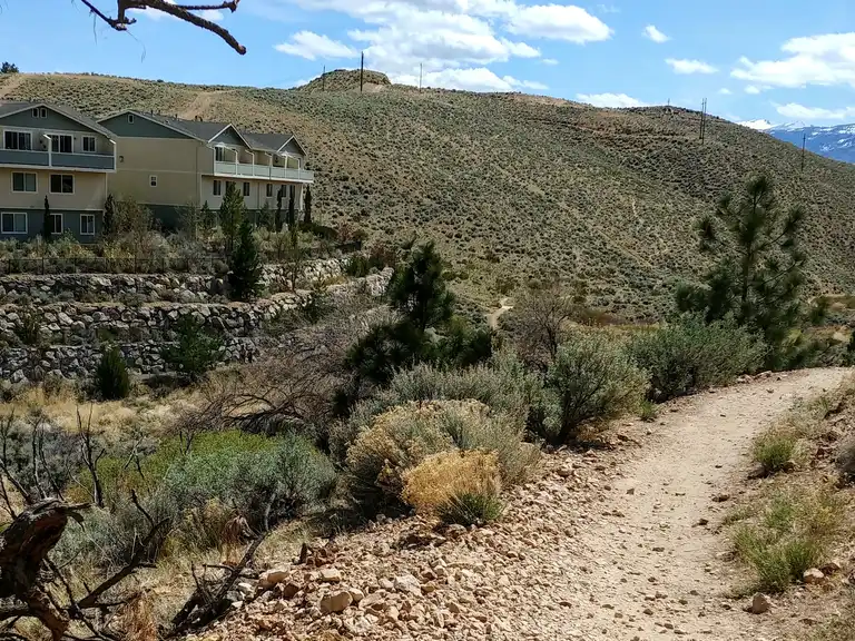 The Nevada "N" via Miners & Evans Canyon Trail loop — Rancho San Rafael ...