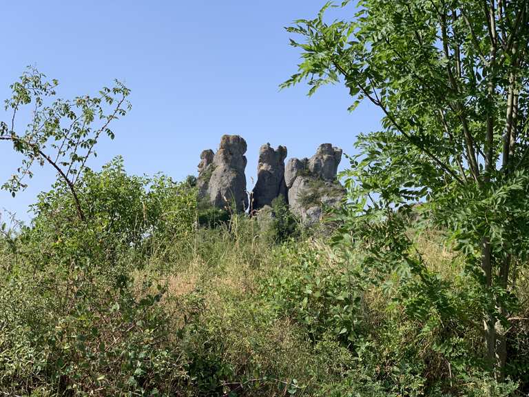 Roquesaltes et Causse Noir – boucle dans le Parc naturel régional des ...