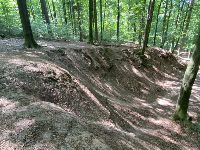 Shorty Mountain Bike Trails & Tracks | Komoot
