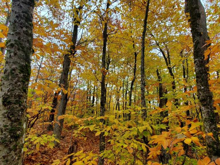 Mount Megunticook loop via Jack Williams Trail — Camden Hills State ...