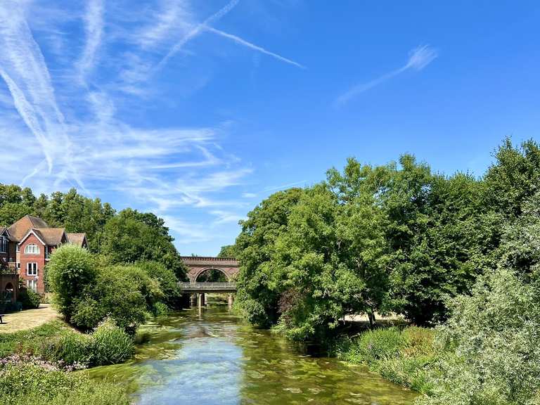 Der Mole Gap Trail, Westhumble & Norbury Park loop von Leatherhead ...