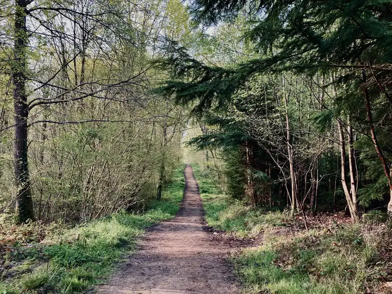 Le Musée du chemin de fer à vapeur de l'Île de Wight & Boucle du Grand ...